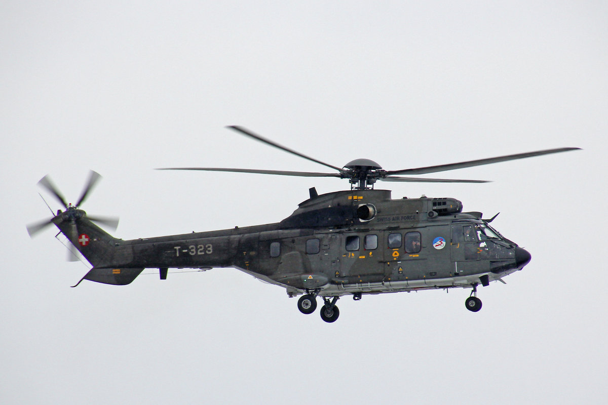 Swiss Army, T-323, Eurocopter AS332M-1 Super Puma, 18.Januar 2017, ZRH ...